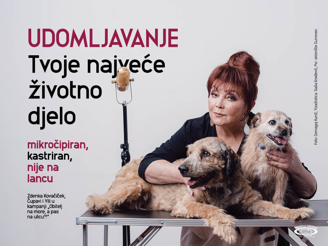 Neka udomljavanje bude tvoje najveće životno djelo | Općina Hrašćina